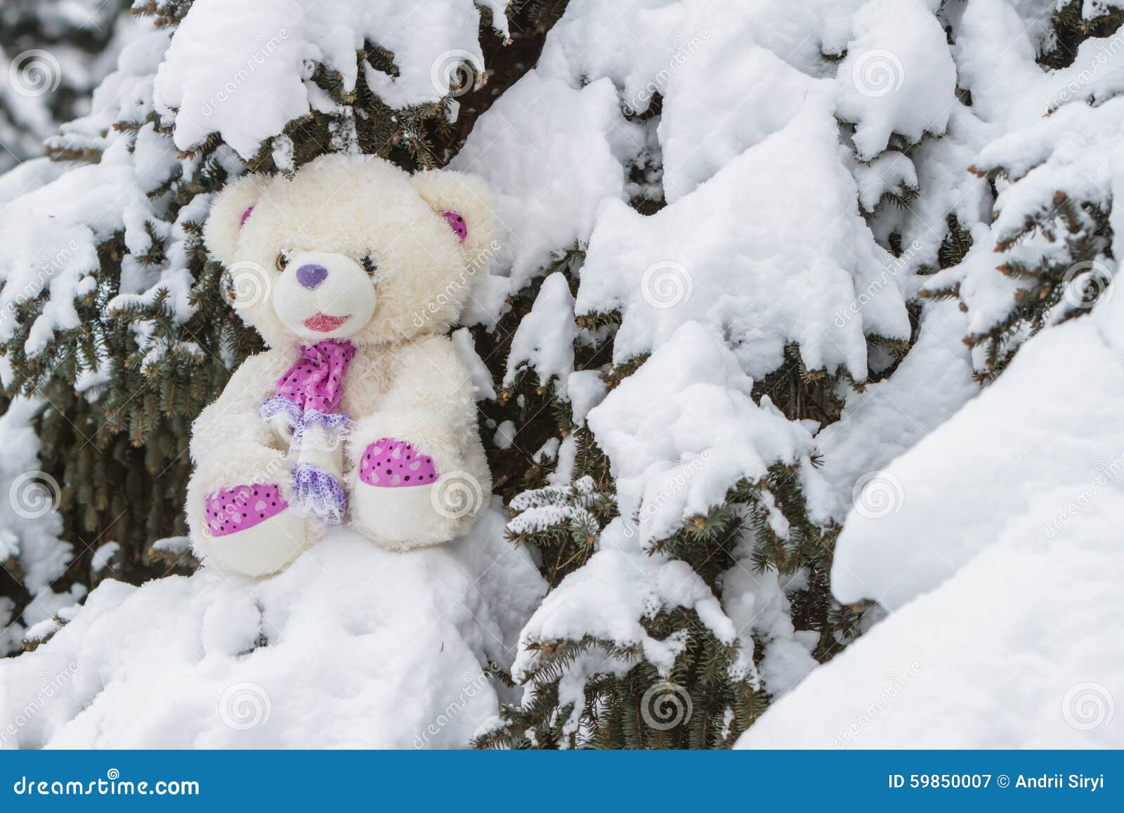 Teddy Bear Sitting in the Snow on Coniferous Tree Stock Image - Image ...