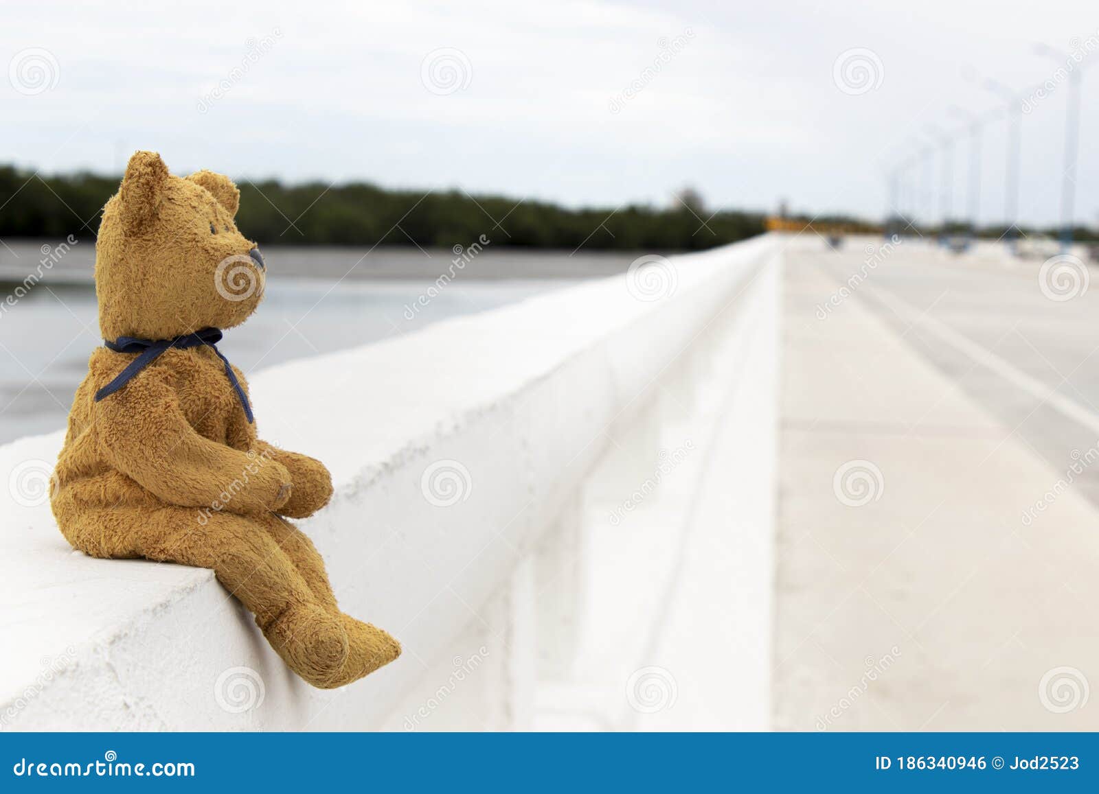 Teddy bear sitting stock photo. Image of london, concept - 186340946