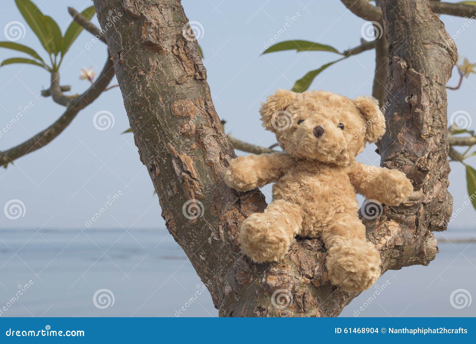 Teddy Bear Sitting on the Tree. Stock Photo - Image of sweet, vintage ...