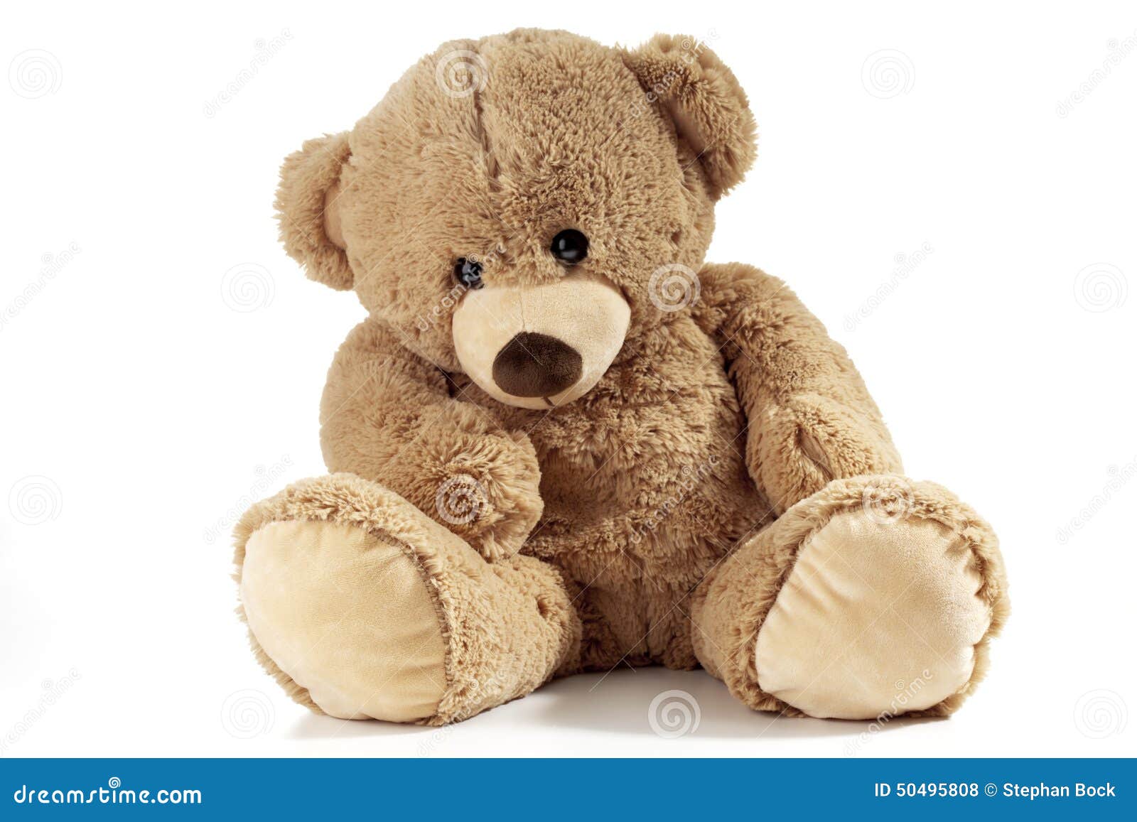 Teddy Bear Sitting on White Background Stock Photo - Image of bear ...