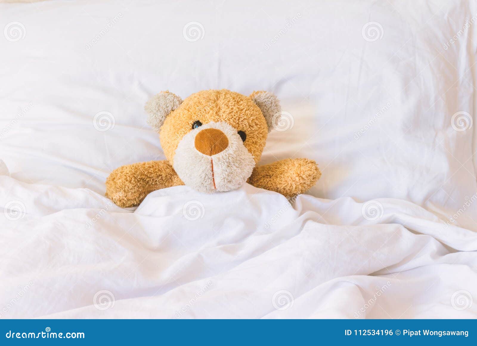 Teddy bear sleeping stock photo. Image of bears, gift - 112534196
