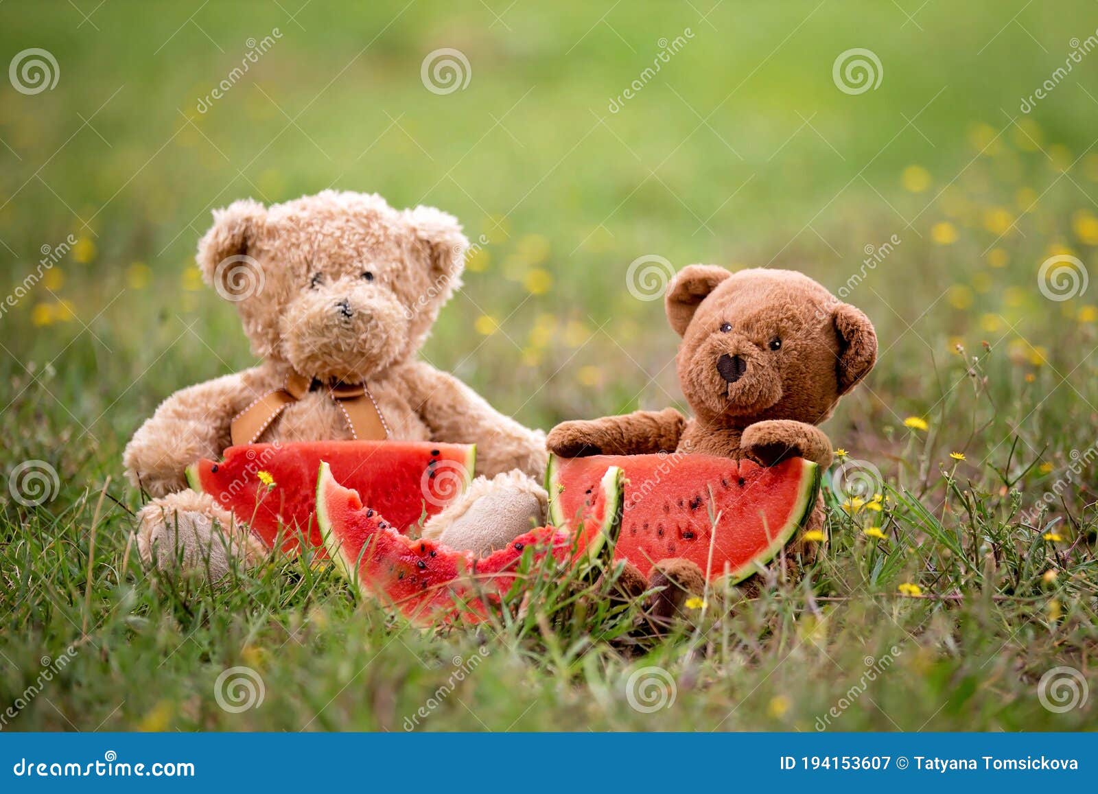 Teddy Bear with a Slice of Watermelon Stock Image - Image of blond ...