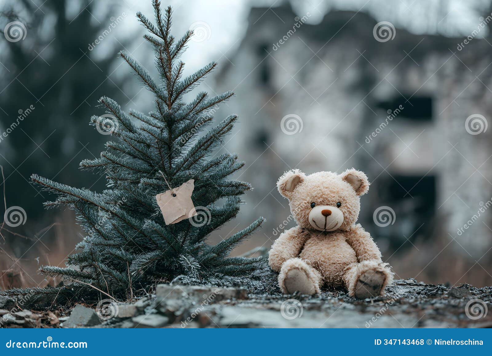 Teddy Bear and Small Tree in a War-torn Environment Representing Loss ...
