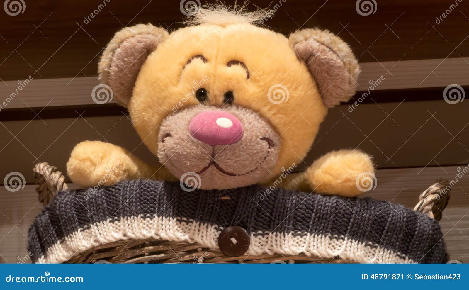 Teddy bear stock image. Image of cute, face, happy, facial - 48791871