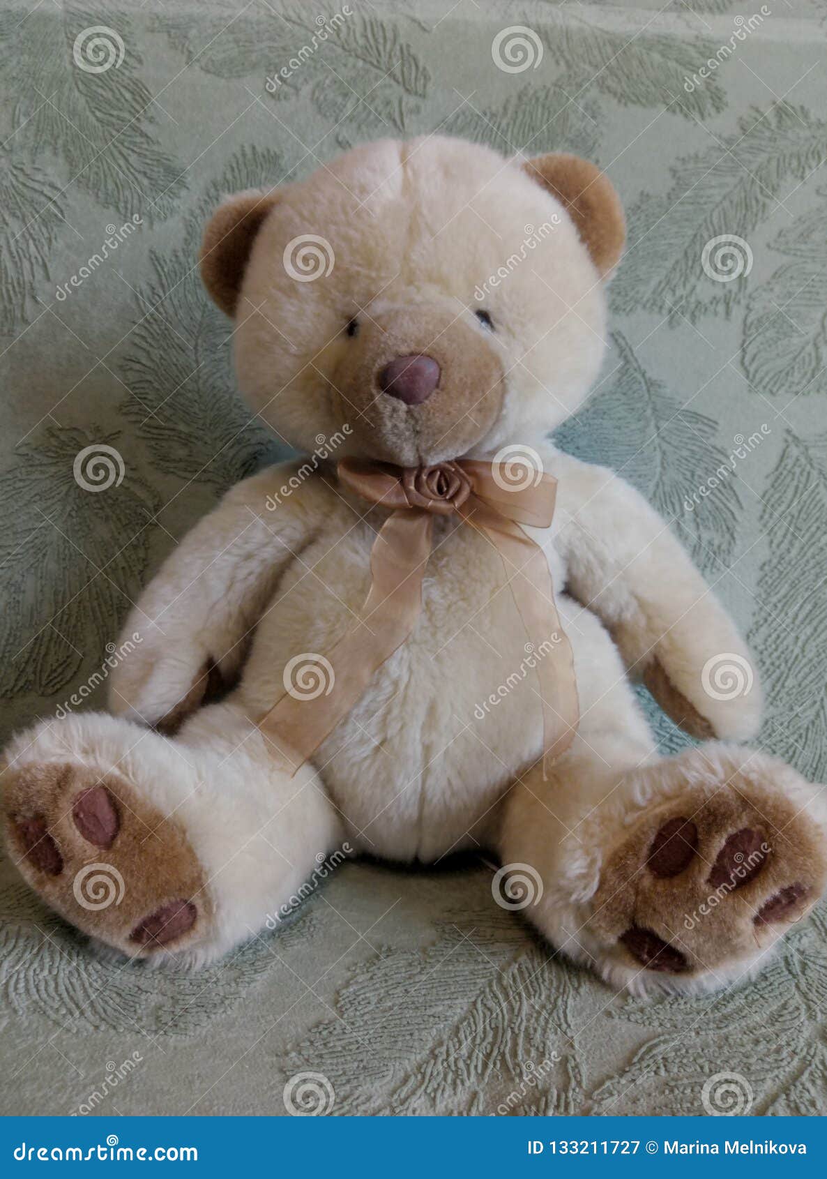 Teddy bear stock image. Image of teddy, toys, bear, soft - 133211727
