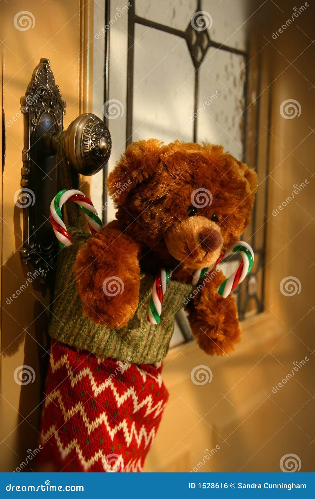Teddy bear in stocking stock photo. Image of present, christmas - 1528616