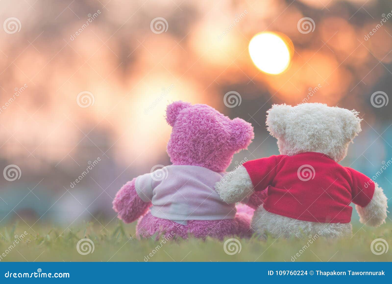 Teddy bear with sunset stock photo. Image of hold, funny - 109760224