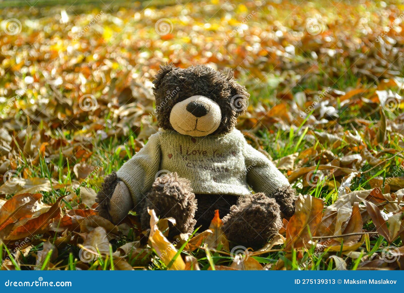 A Teddy Bear in a Sweater Sits among the Fallen Leaves on the Lawn ...