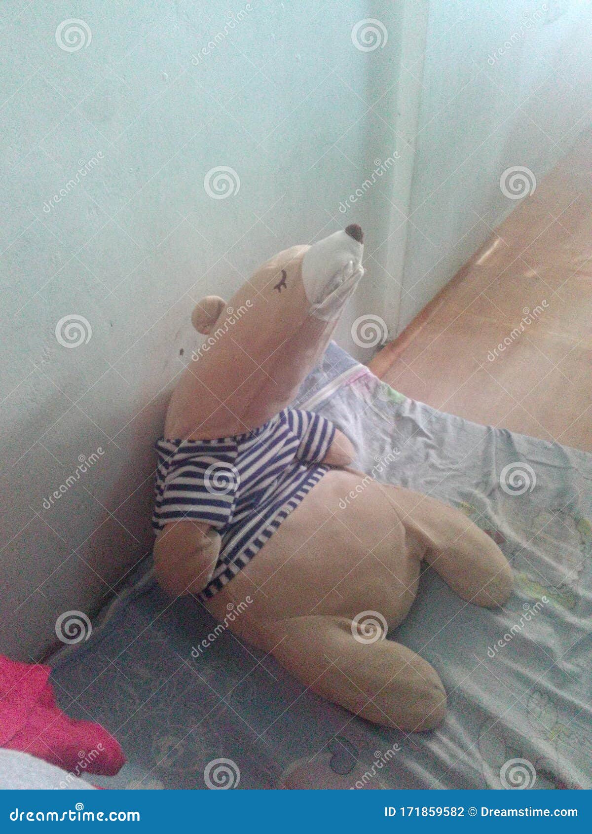Teddy bear tired house stock photo. Image of house, bear - 171859582