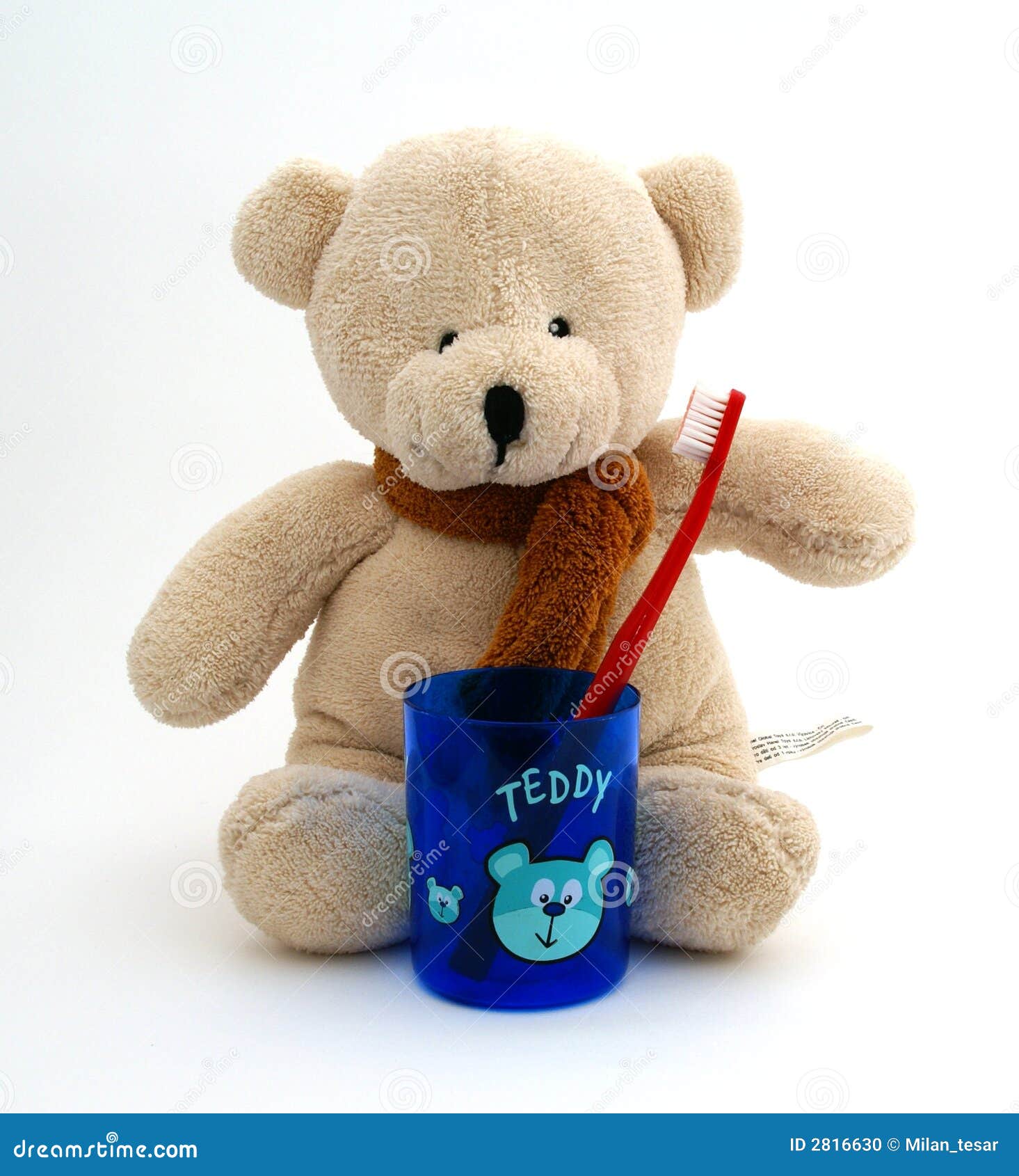 Teddy bear with toothbrush stock photo. Image of plush - 2816630