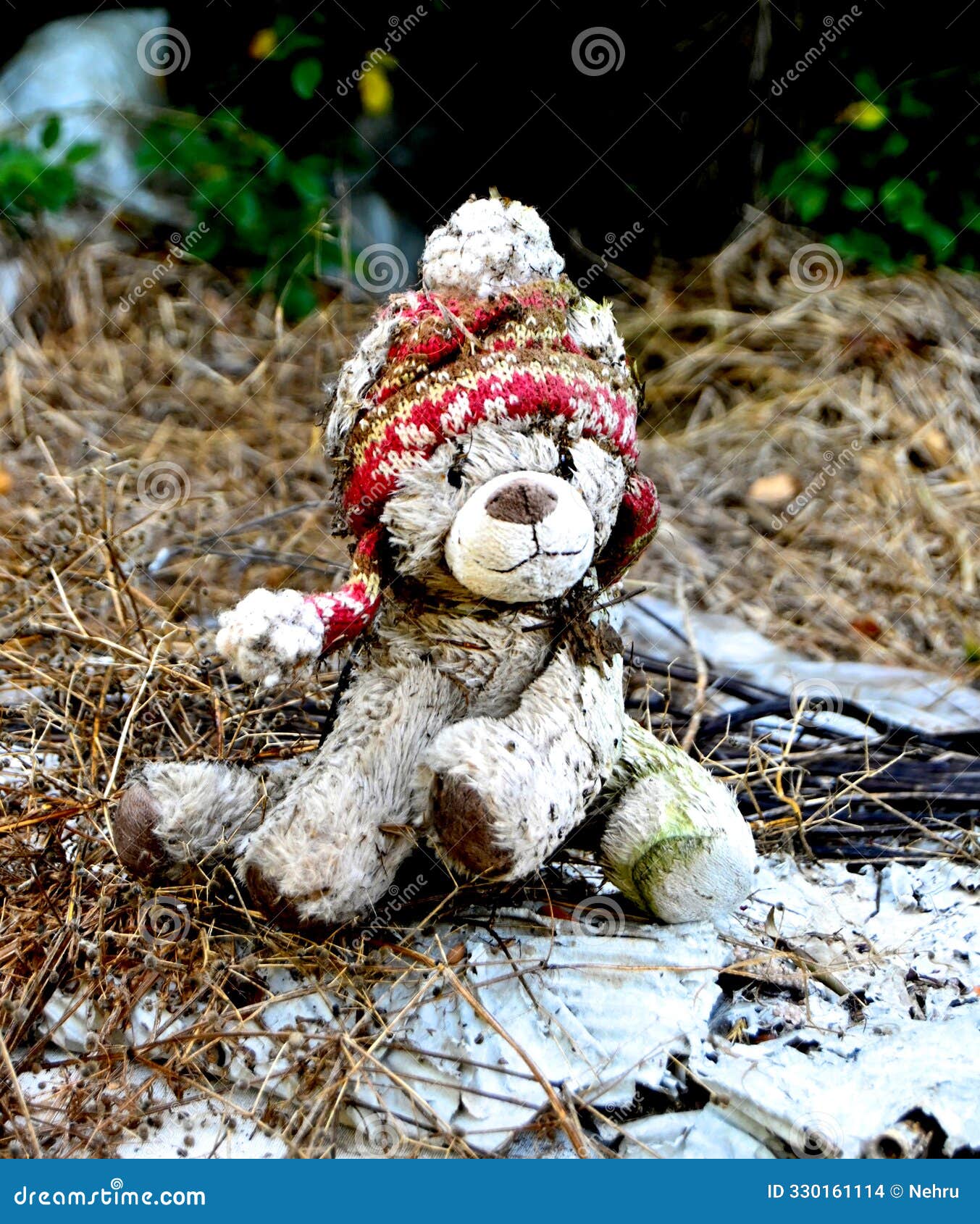 Teddy Bear Toy Dumped on the Ground, Garbage Dump, Stock Photo - Image ...