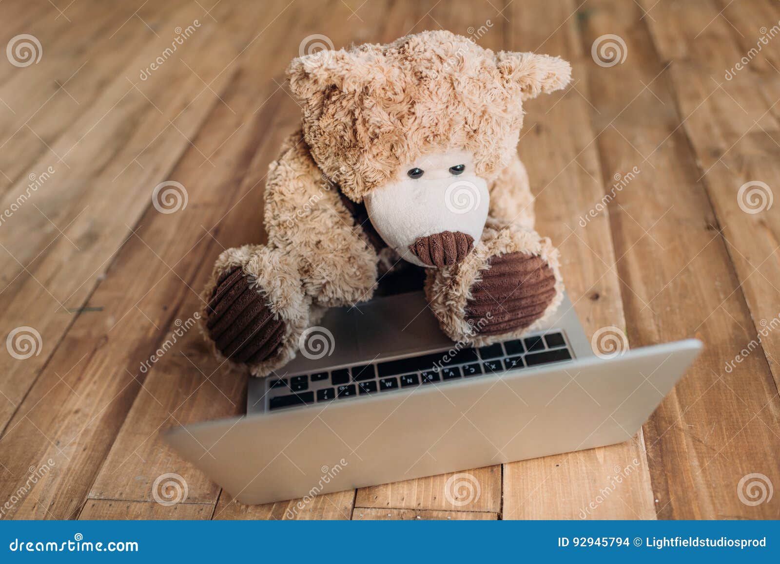 Teddy Bear Toy and Laptop on Floor Stock Photo - Image of connection ...