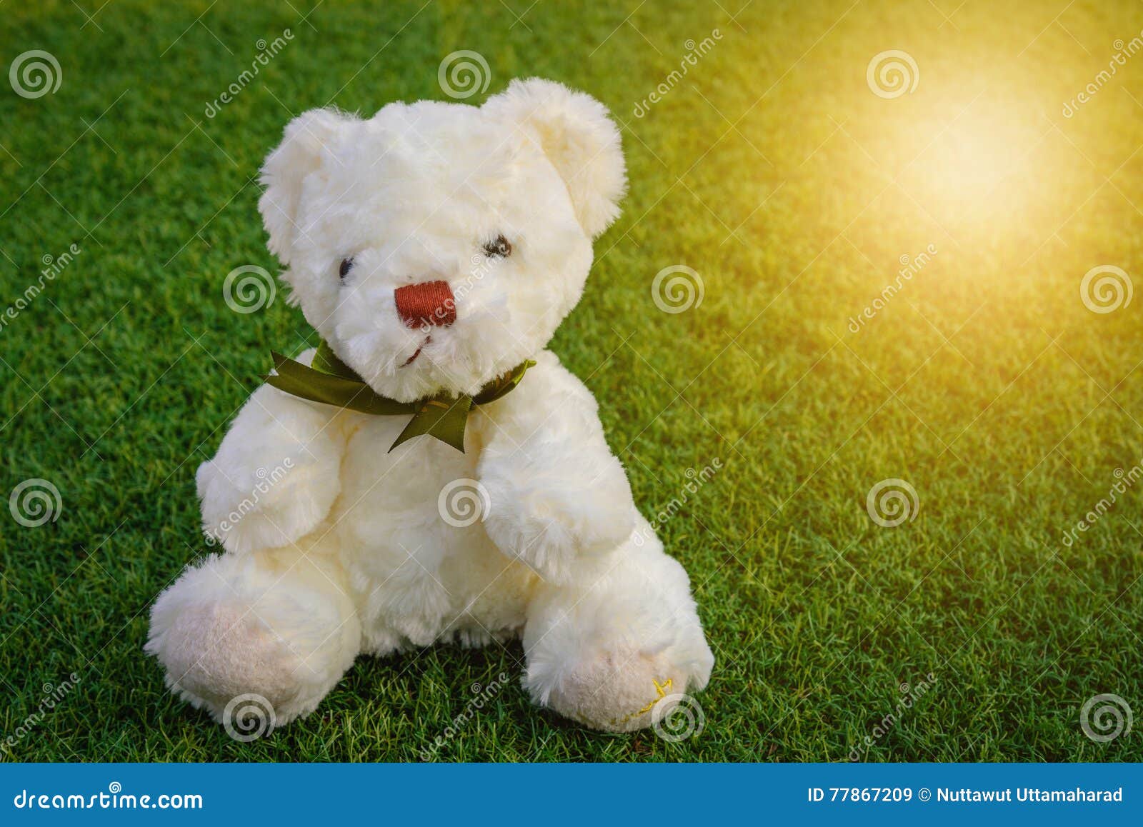 Teddy Bear Toy Sitting on Green Grass in Nature Stock Image - Image of ...