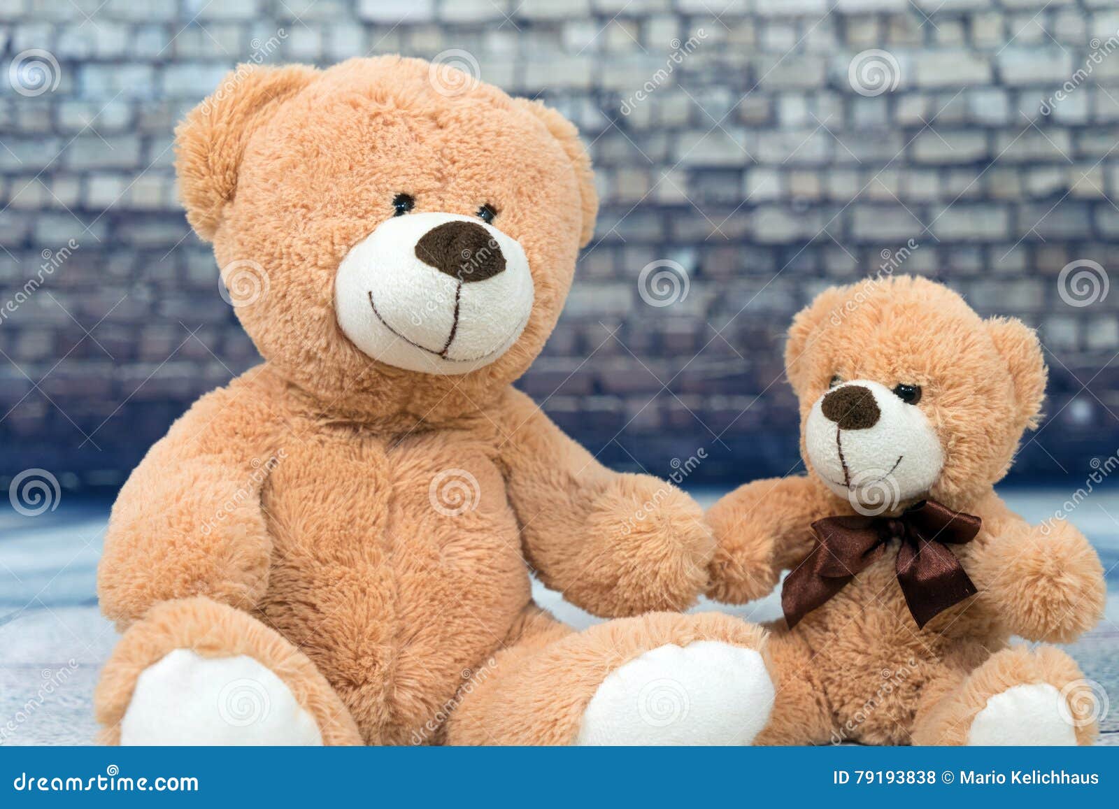 Teddy Bear stock photo. Image of bear, cuddly, togetherness - 79193838