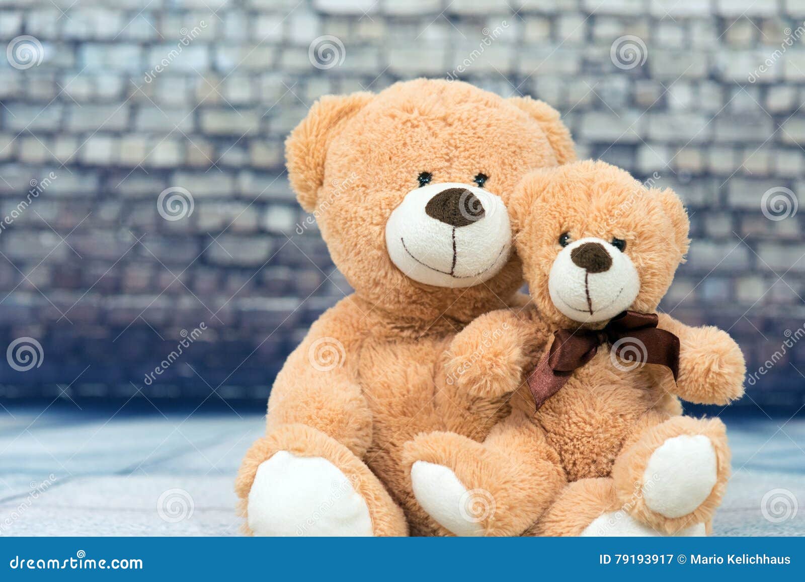 Teddy Bear stock image. Image of emotion, toys, together - 79193917