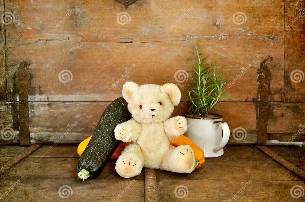 Teddy bear and vegetables stock image. Image of arrangement - 32934689