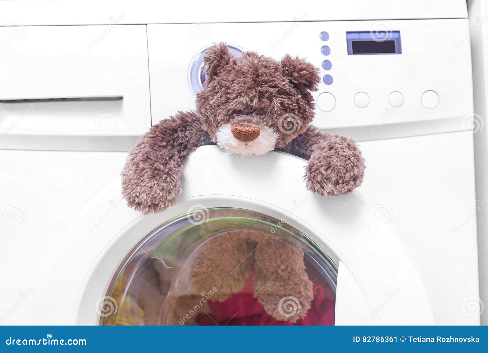 Teddy Bear in a Washing Machine. Stock Image - Image of inside, bear ...