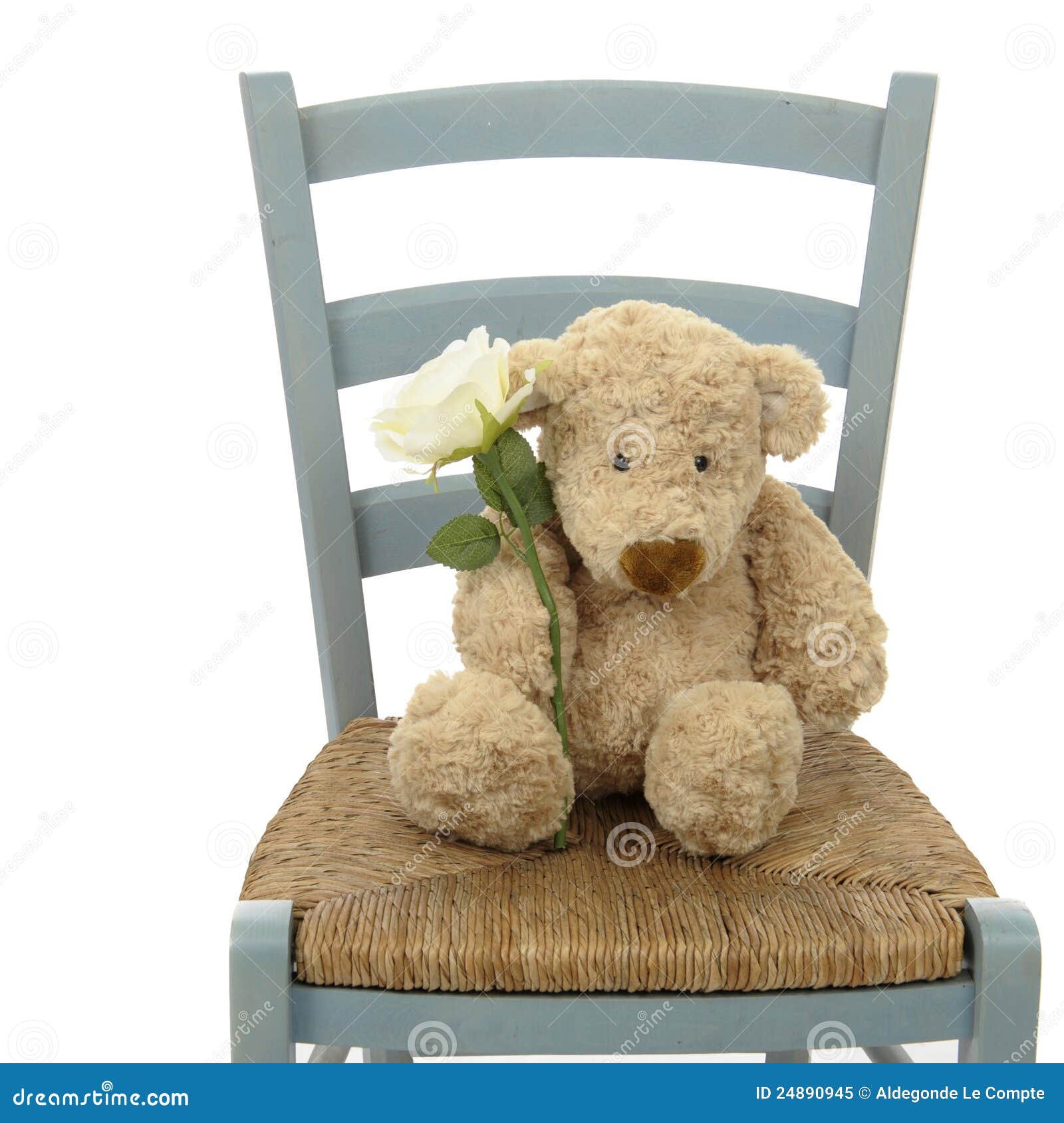 Teddy bear with white rose stock image. Image of flower - 24890945