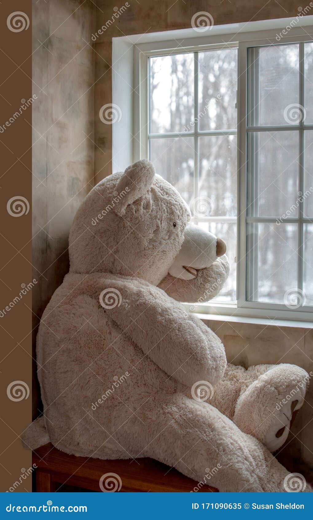 Teddy bear at the window stock image. Image of celebration - 171090635