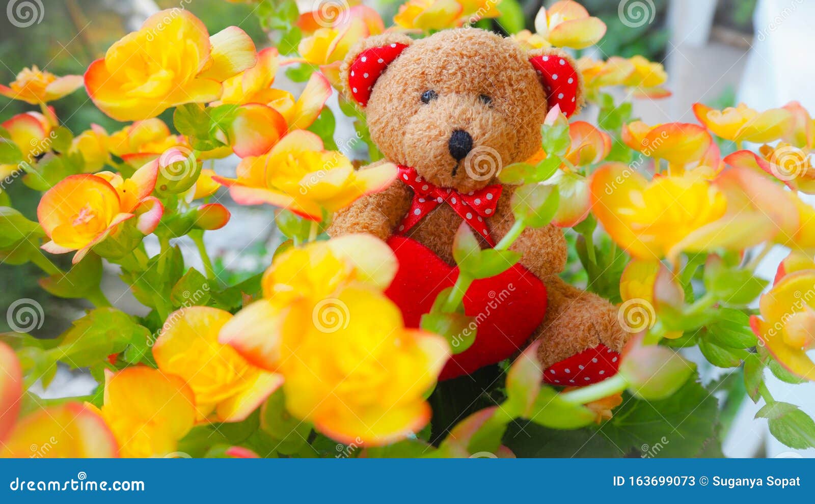 Teddy Bear with Yellow Flowers Stock Image - Image of flowers, summer ...