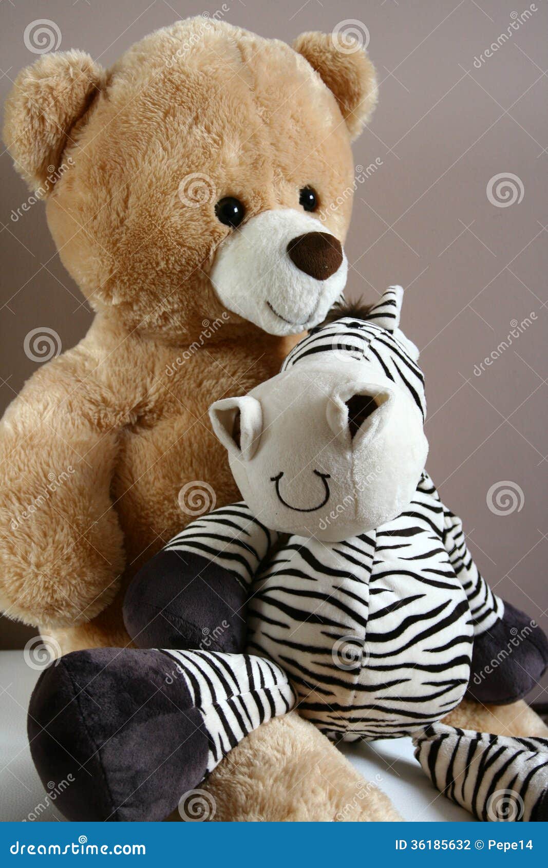 Teddy Bear with Zebra Friend Stock Photo - Image of newborn, object ...