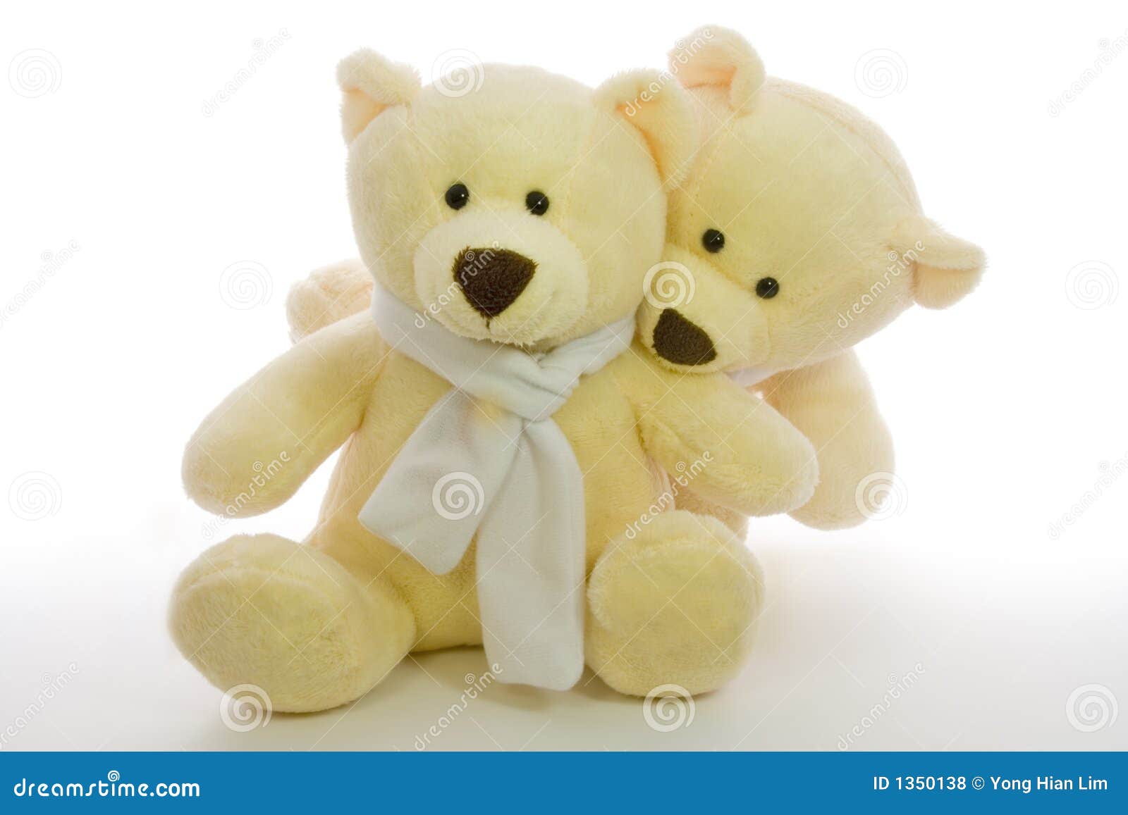 Teddy bears stock photo. Image of together, gift, bear - 1350138