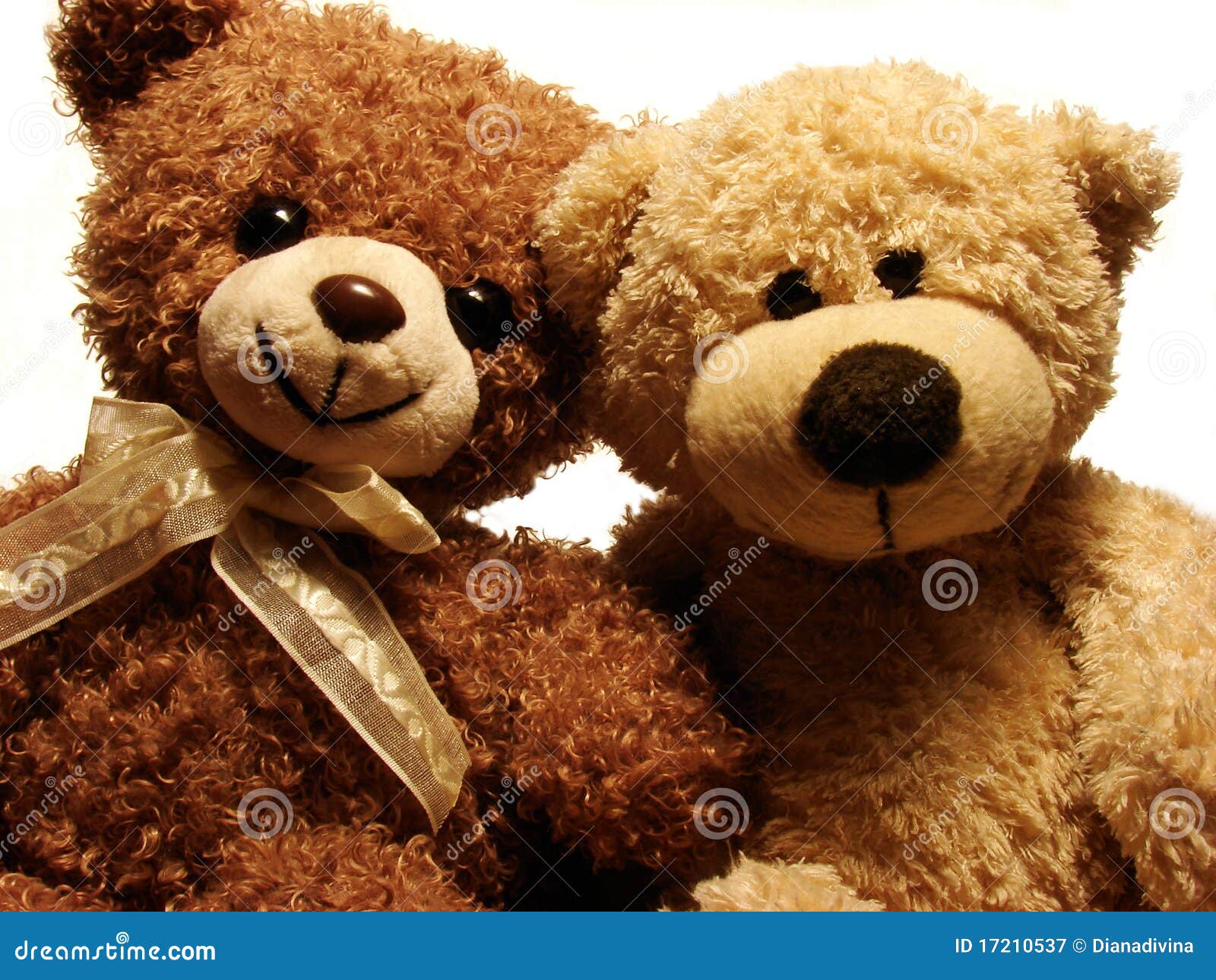 Teddy bears stock image. Image of portrait, plaything - 17210537