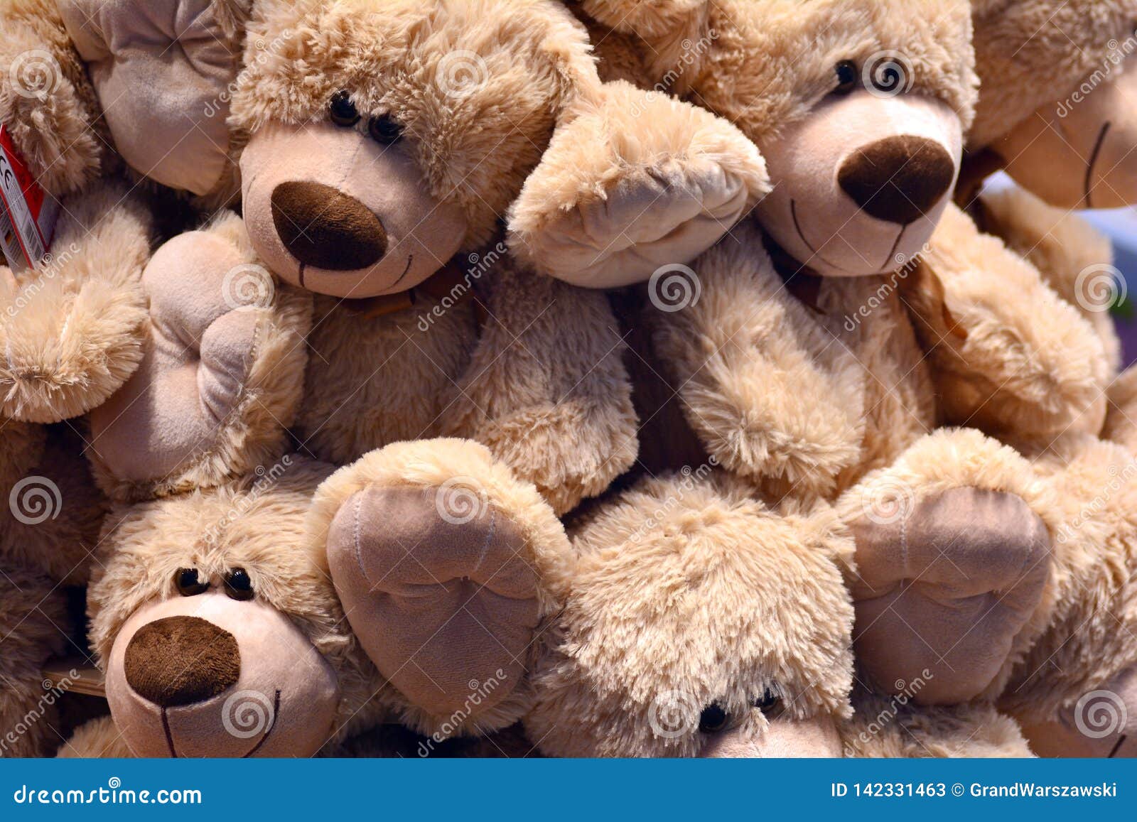 Six Teddy Bears Stock Photos - Download 6 Royalty Free Photos