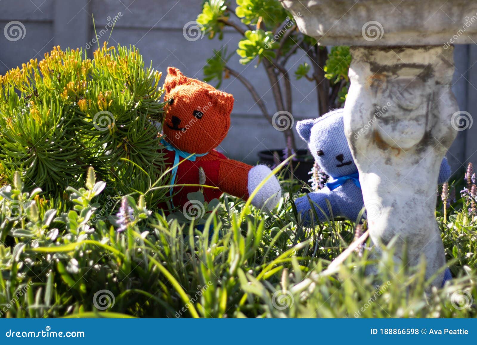 Teddy Bears Hiding Behind Plants in a Garden Stock Photo - Image of ...
