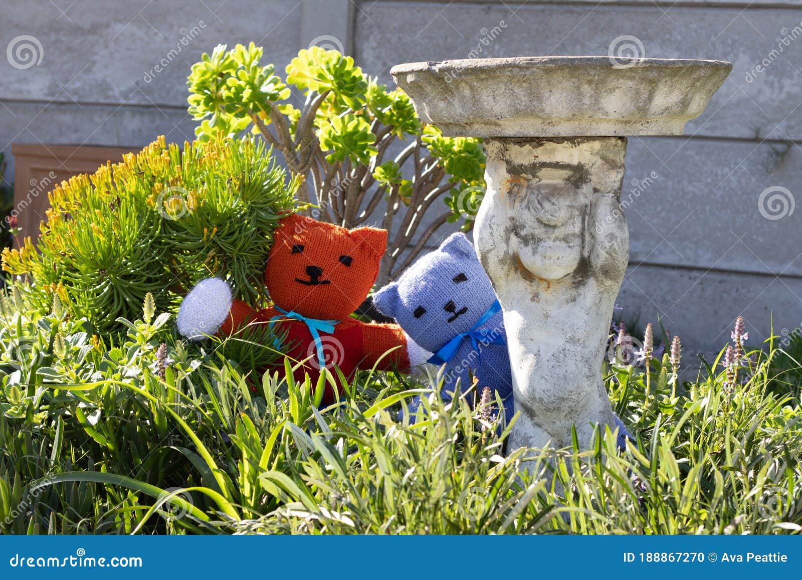 Teddy Bears Hiding Behind Plants in a Garden Stock Photo - Image of ...
