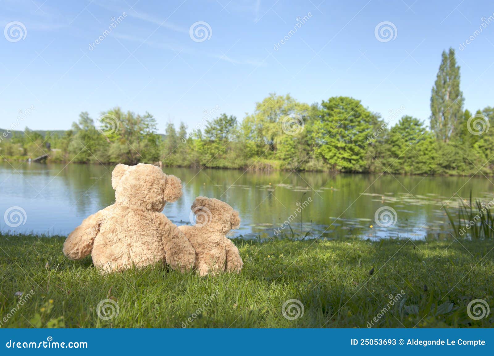 Teddy bears at the lake stock image. Image of parent - 25053693