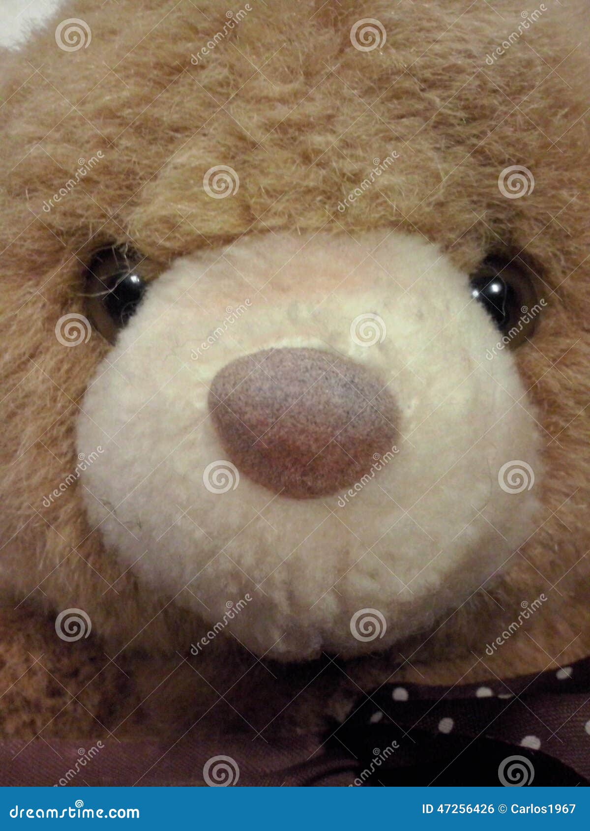 Teddy stock photo. Image of sweet, teddy, bear, brown - 47256426