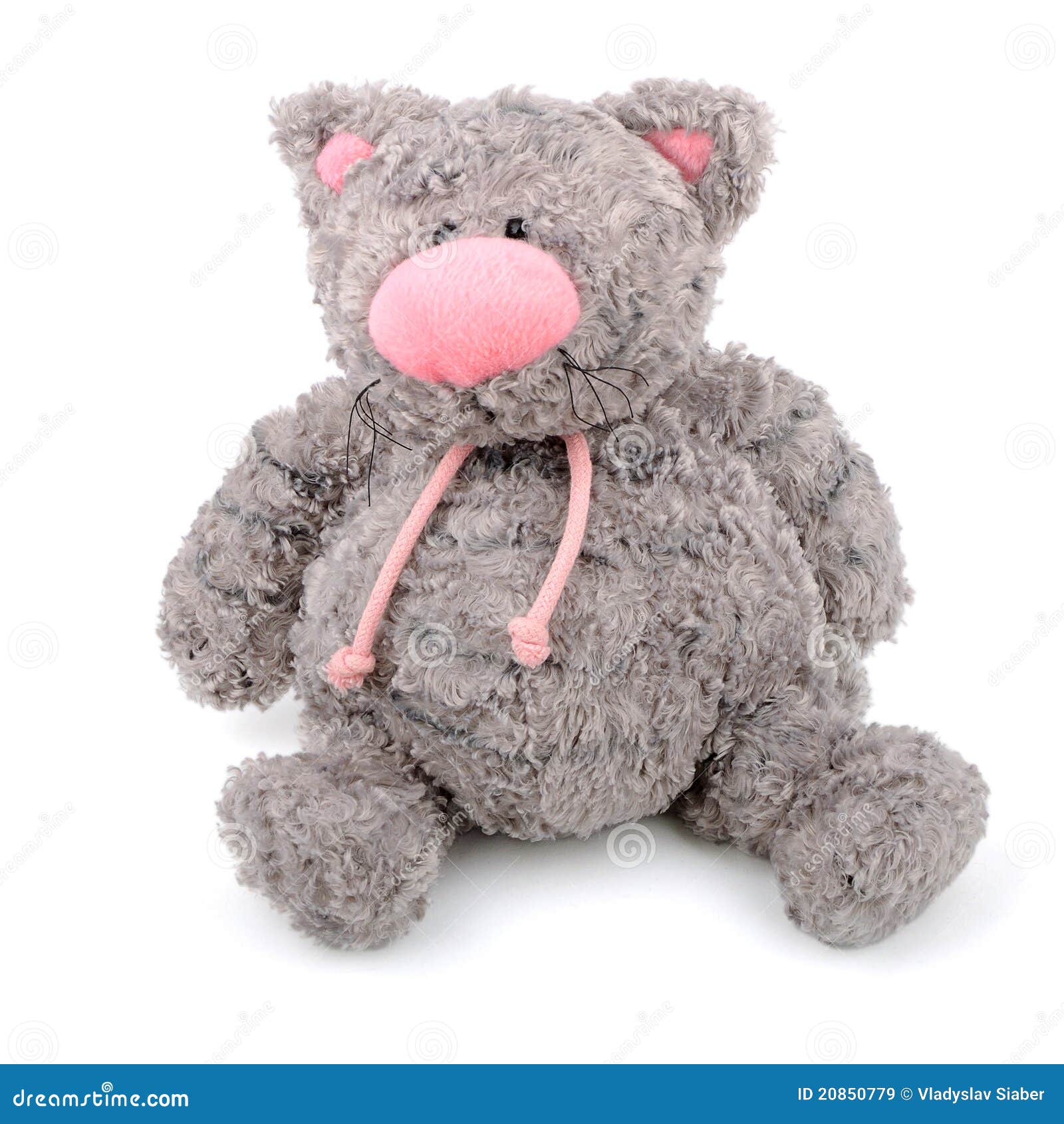 Teddy cat stock image. Image of animal, valentine, isolated - 20850779