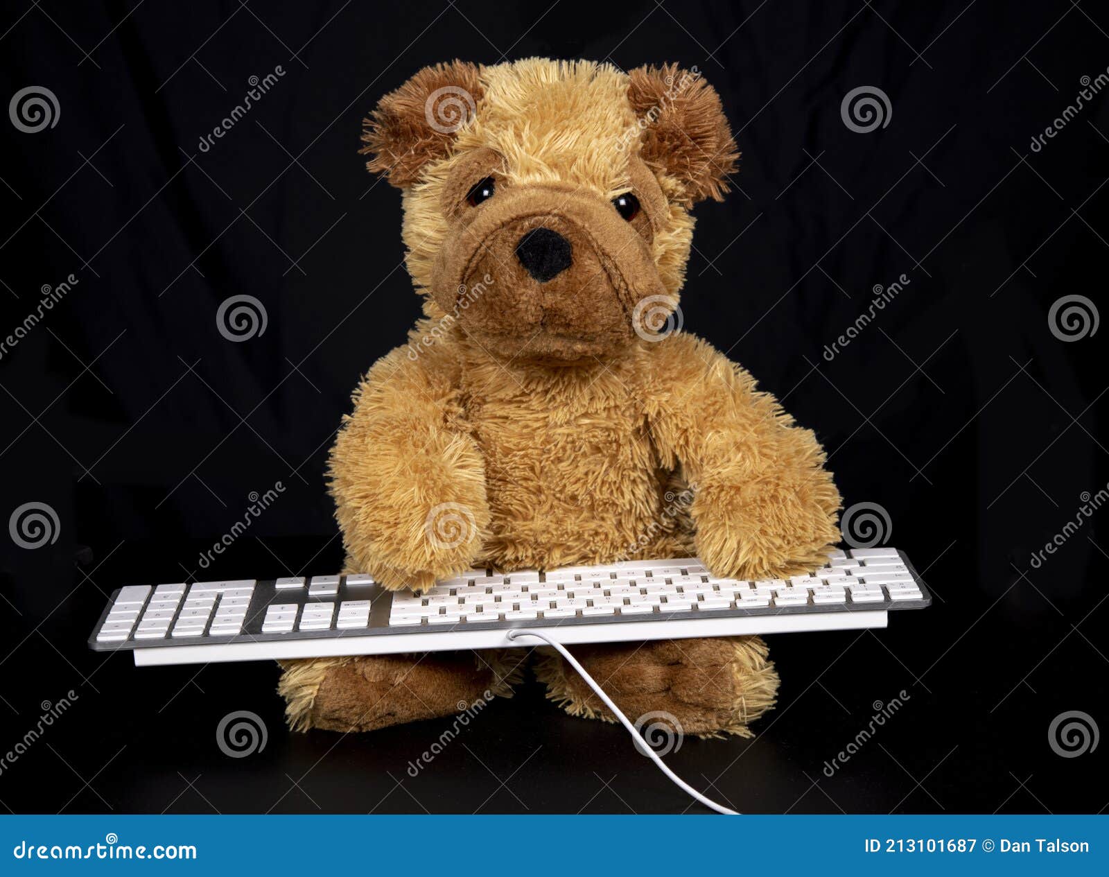 Teddy Dog Typing on Keyboard Stock Image - Image of kids, code: 213101687