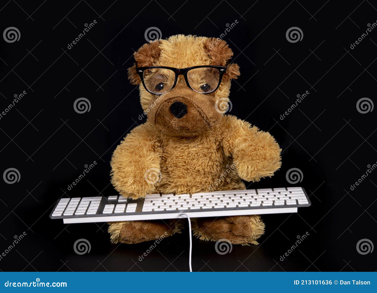 Teddy Dog Typing on Keyboard Stock Photo - Image of doggie, computer ...