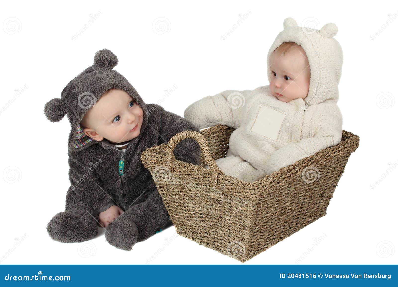 Teddy Friends stock photo. Image of indoor, basket, small - 20481516