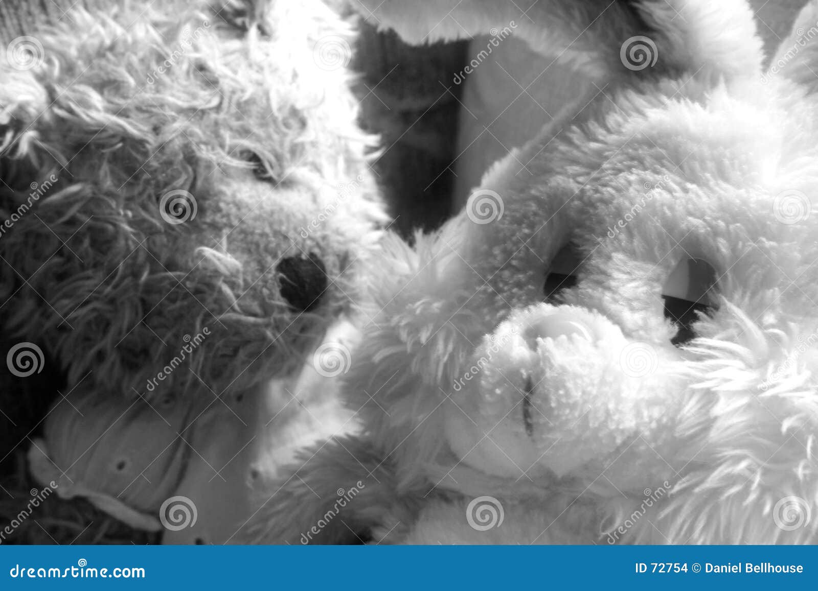Teddy Friends stock photo. Image of comfort, happiness, pair - 72754