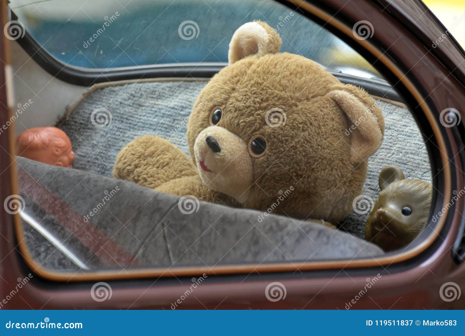 Teddy Bear in a car stock image. Image of danger, teddy - 119511837