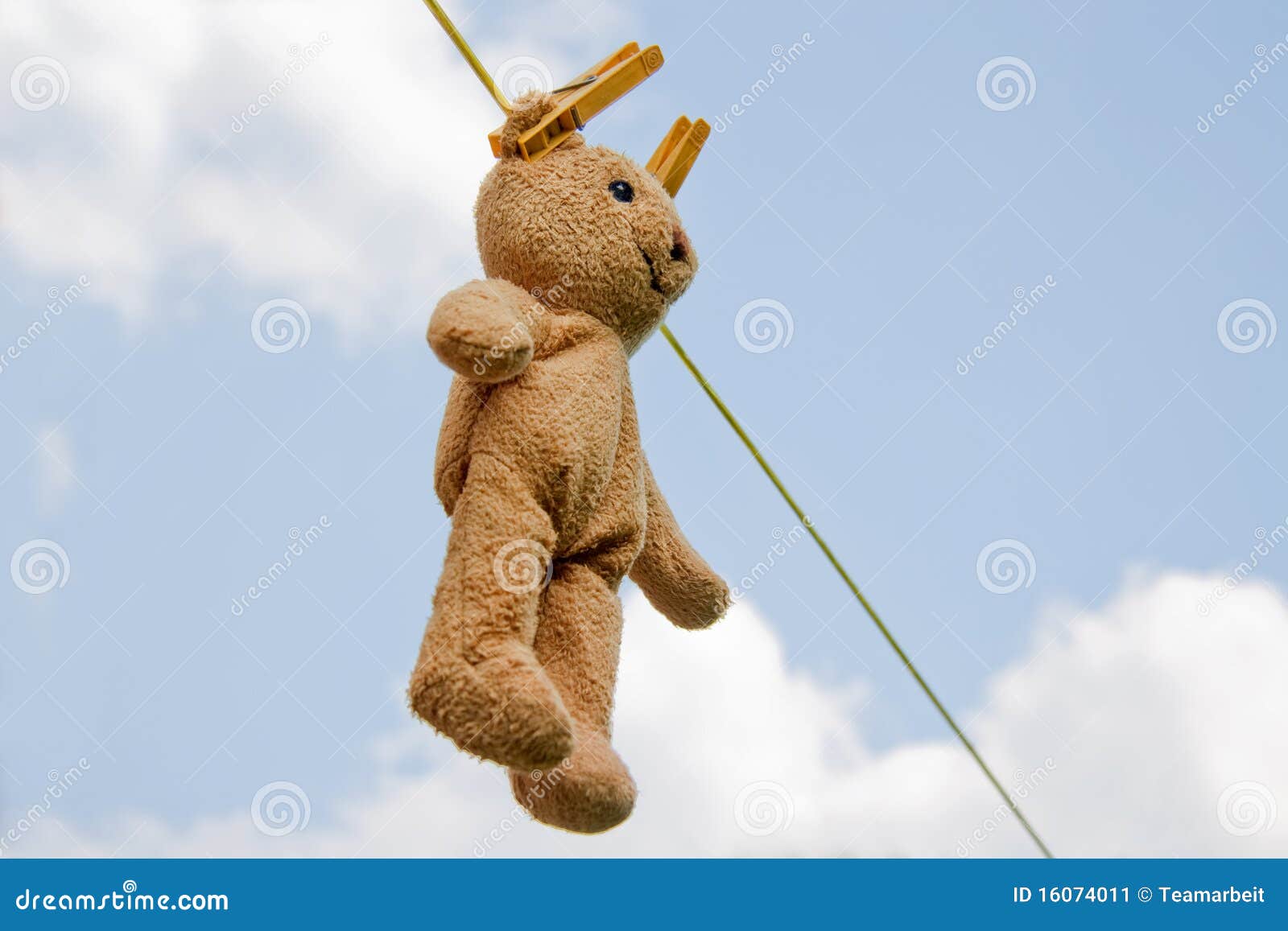 Teddy on a line stock image. Image of outdoors, clothesline - 16074011