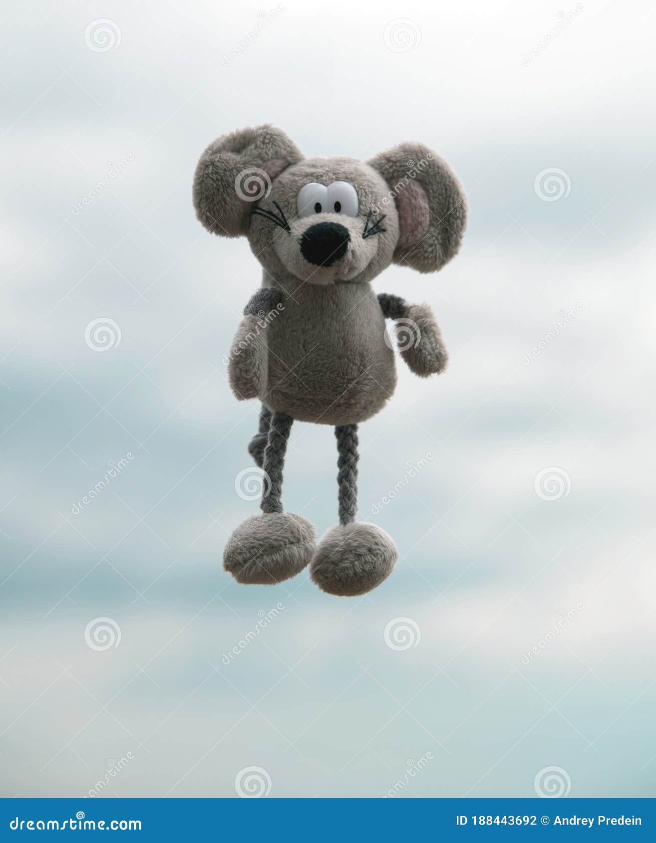 Mouse in air stock photo. Image of soft, fluffy, nose - 188443692
