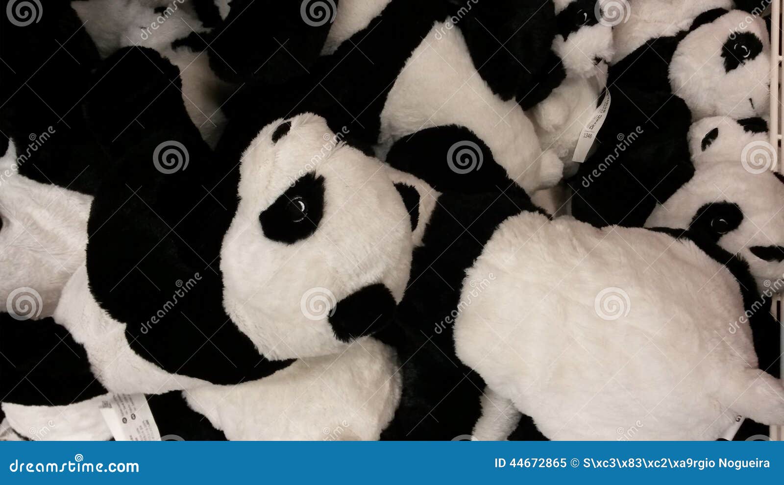 Teddy panda bears stock image. Image of panda, pile, bears - 44672865