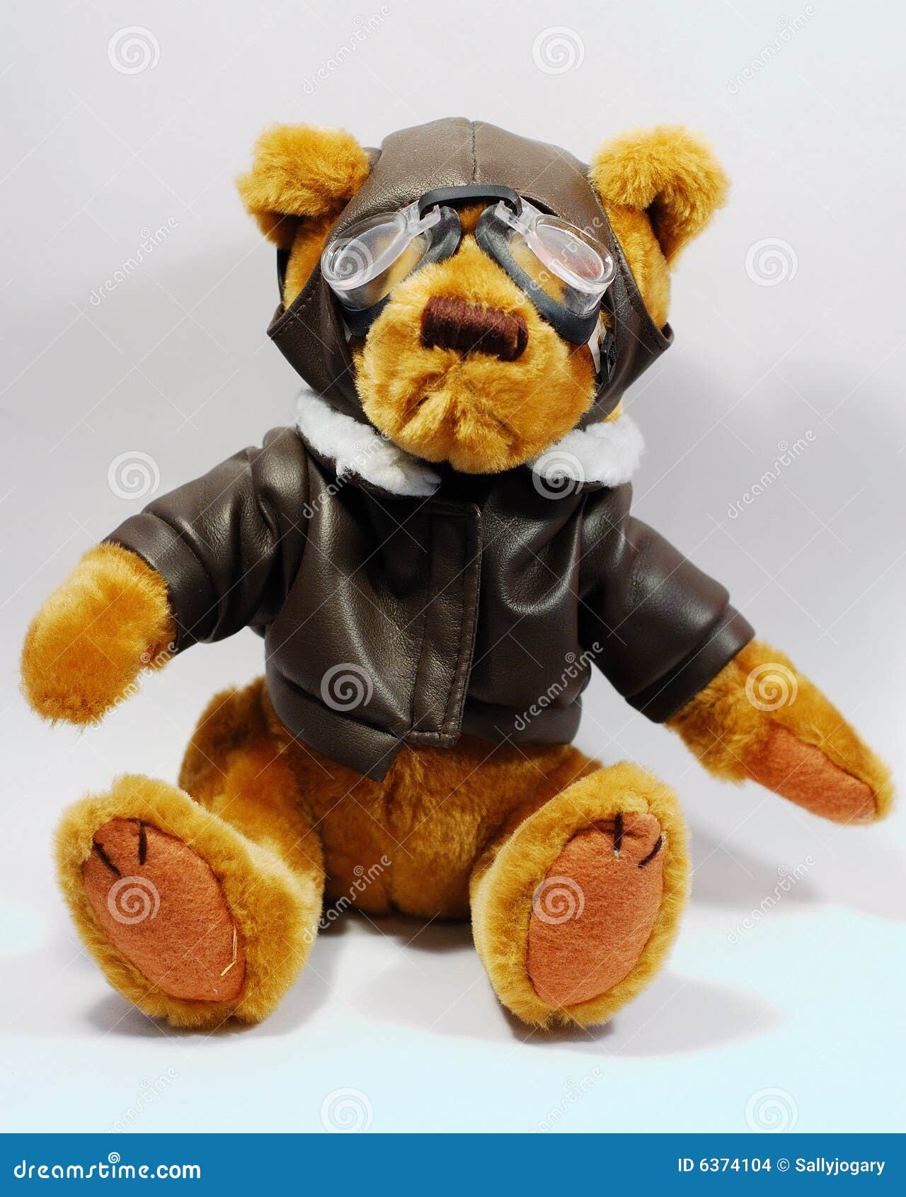 Teddy Pilot Bear stock photo. Image of bear, alone, grumbler - 6374104