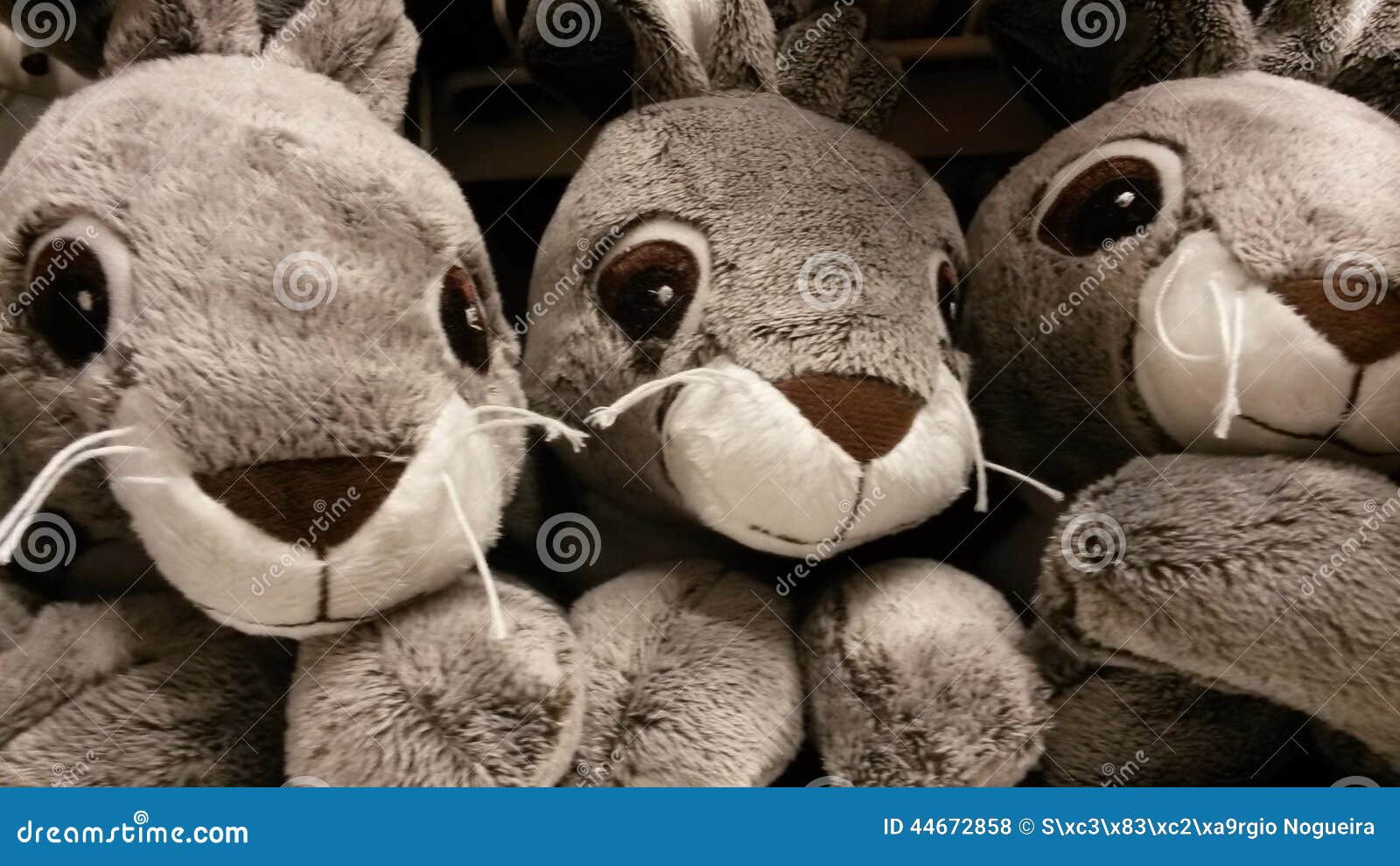 Teddy rabbit stock photo. Image of kids, shop, rabbit - 44672858