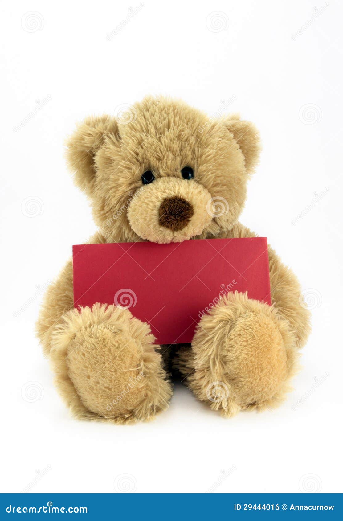 Teddy with red card. stock photo. Image of mothers, romantic - 29444016
