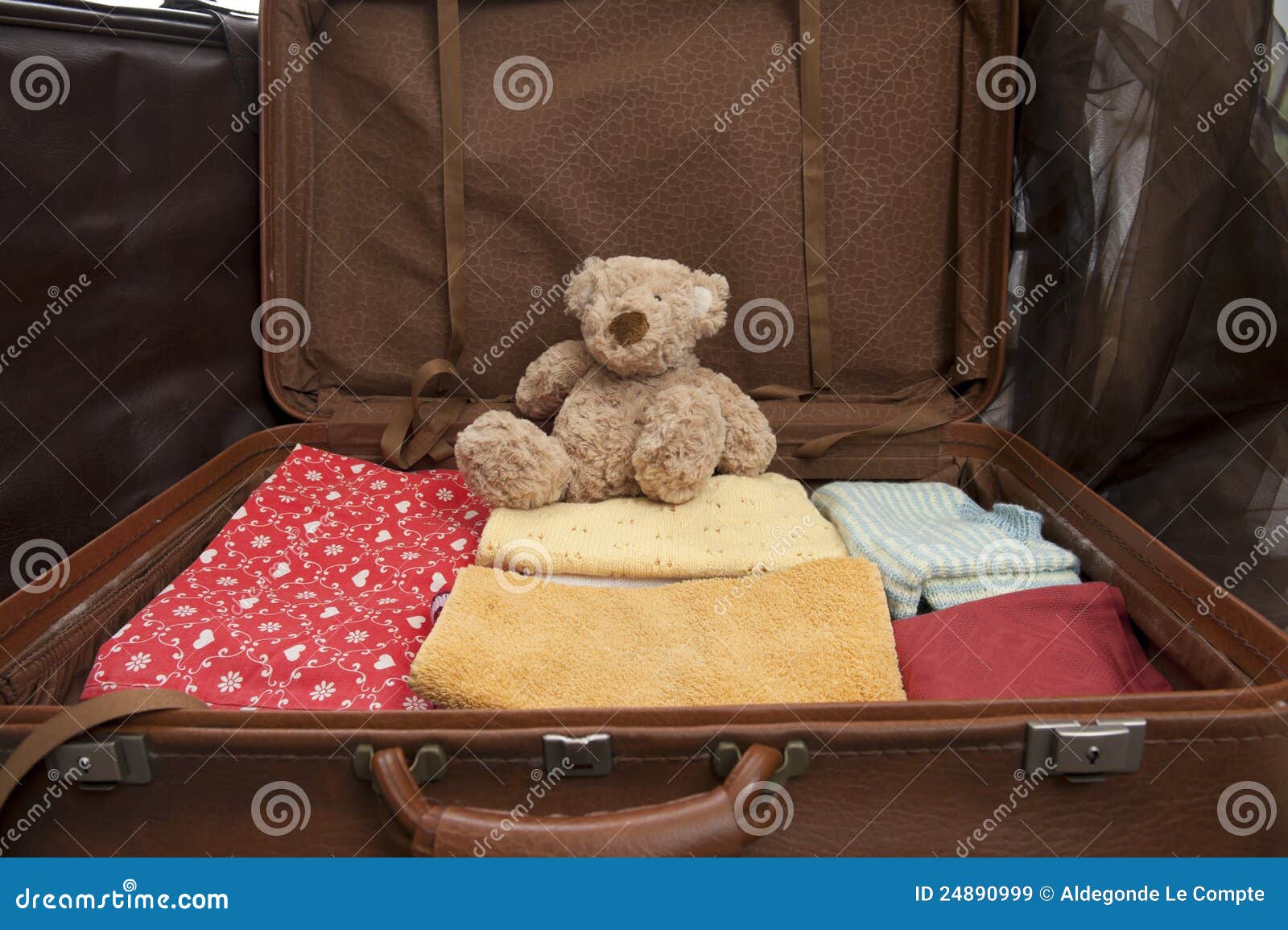 Teddy Seated in Open Suitcase Stock Image - Image of sitting, suitcase ...