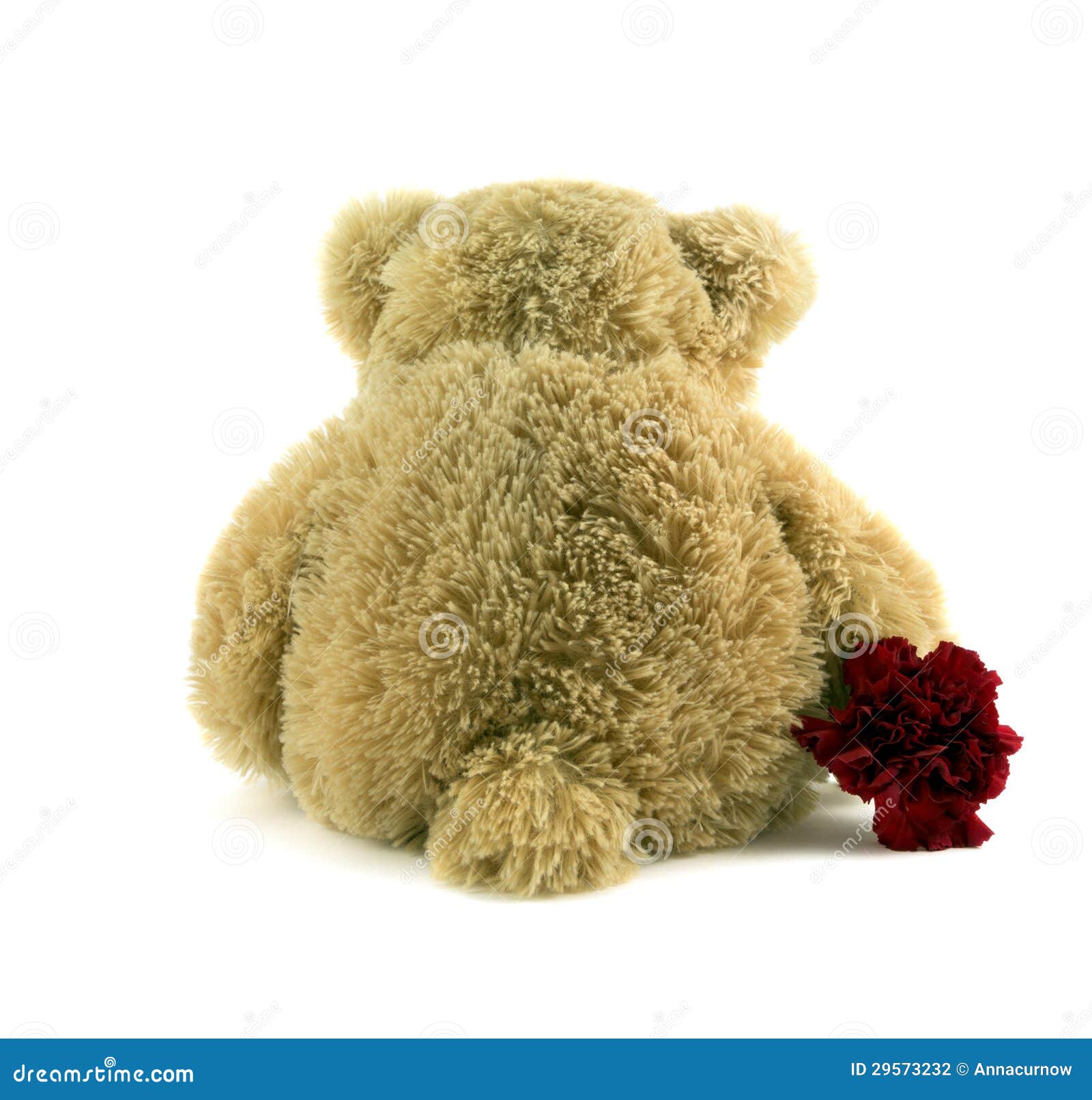 Teddy sitting. stock photo. Image of sitting, thoughtful - 29573232