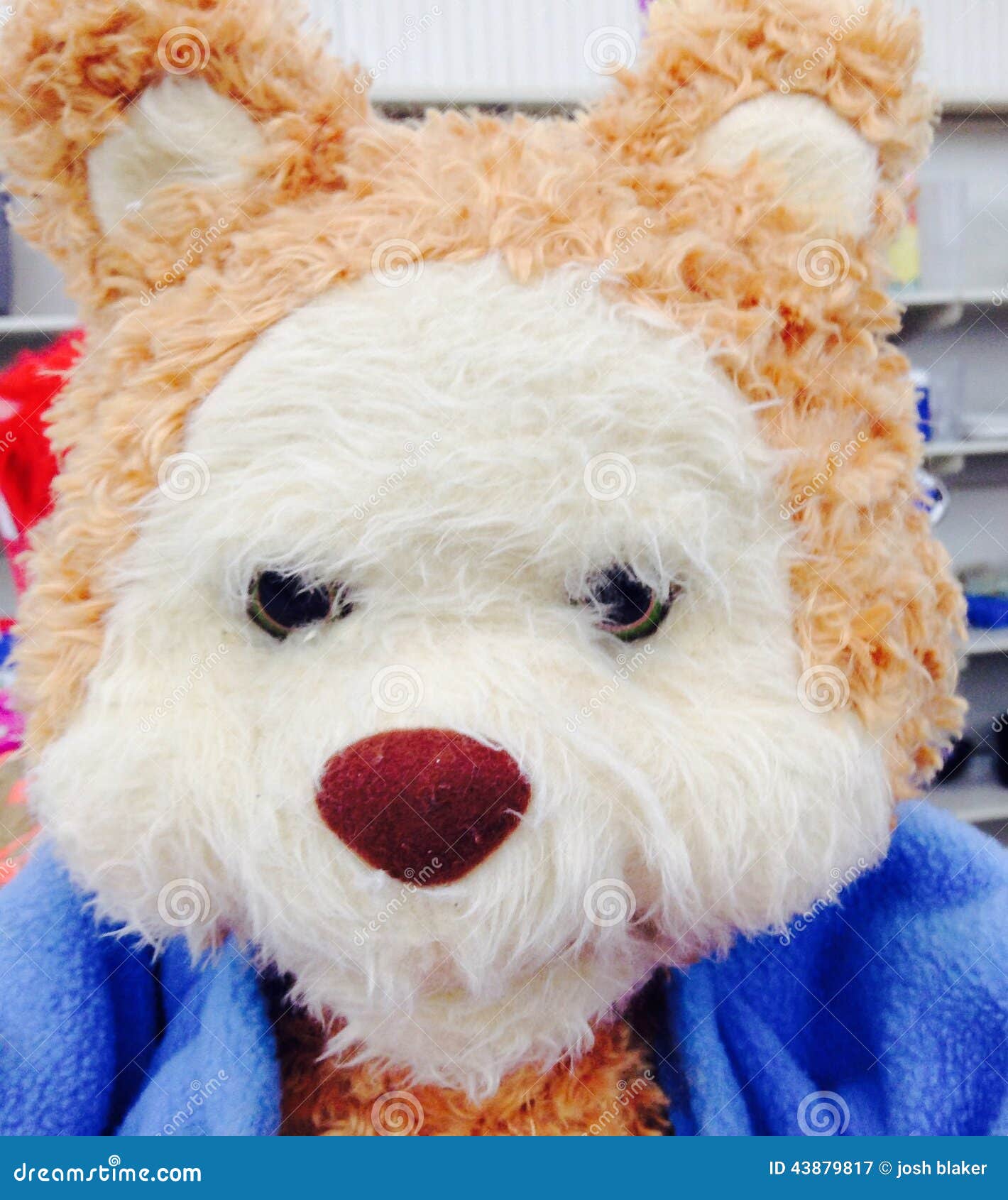 Teddy stock image. Image of animal, teddy, smile, stuffed - 43879817