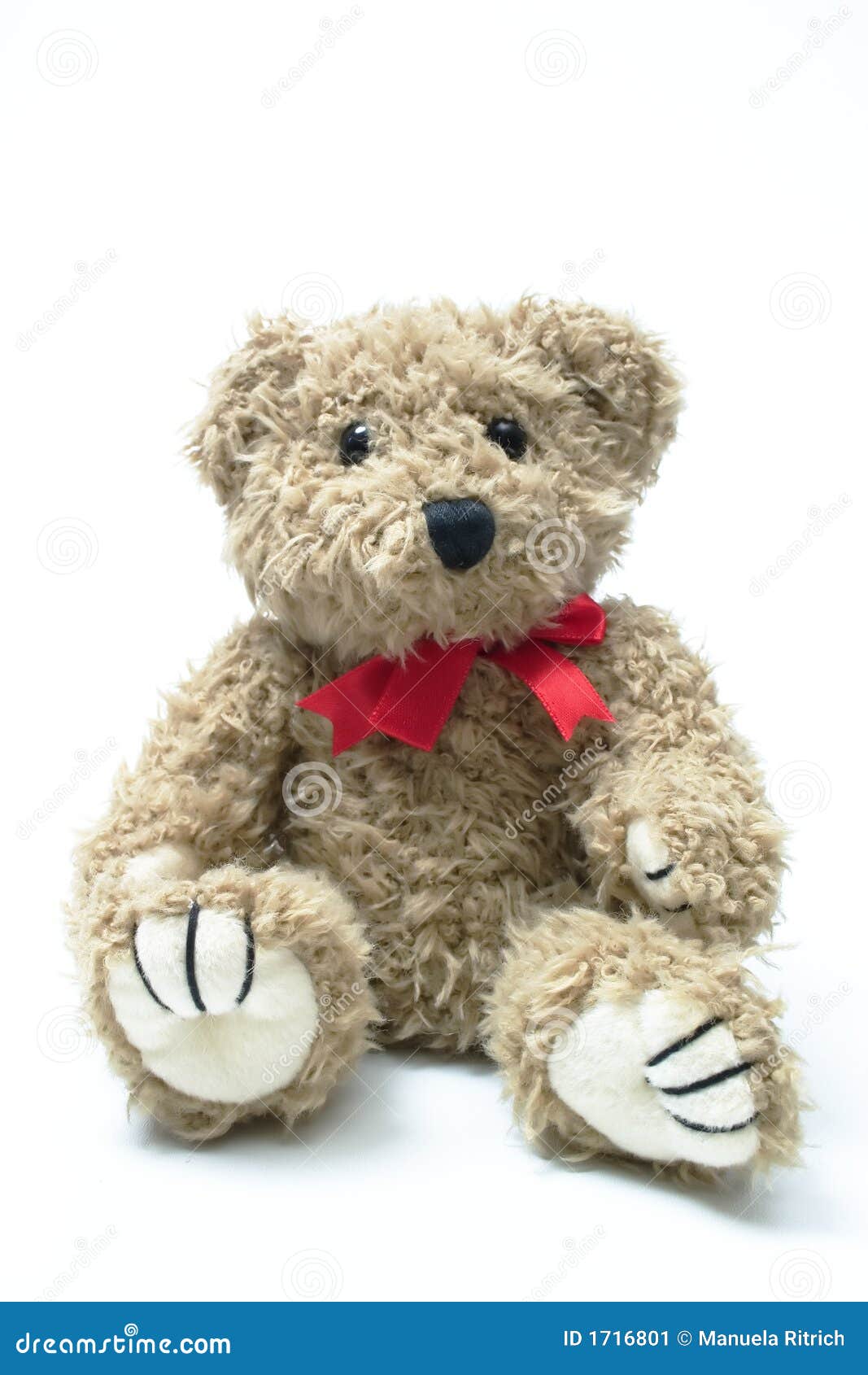 Teddybear stock image. Image of teddybear, sitting, indoors - 1716801