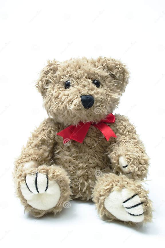 Teddybear stock image. Image of teddybear, sitting, indoors - 1716801