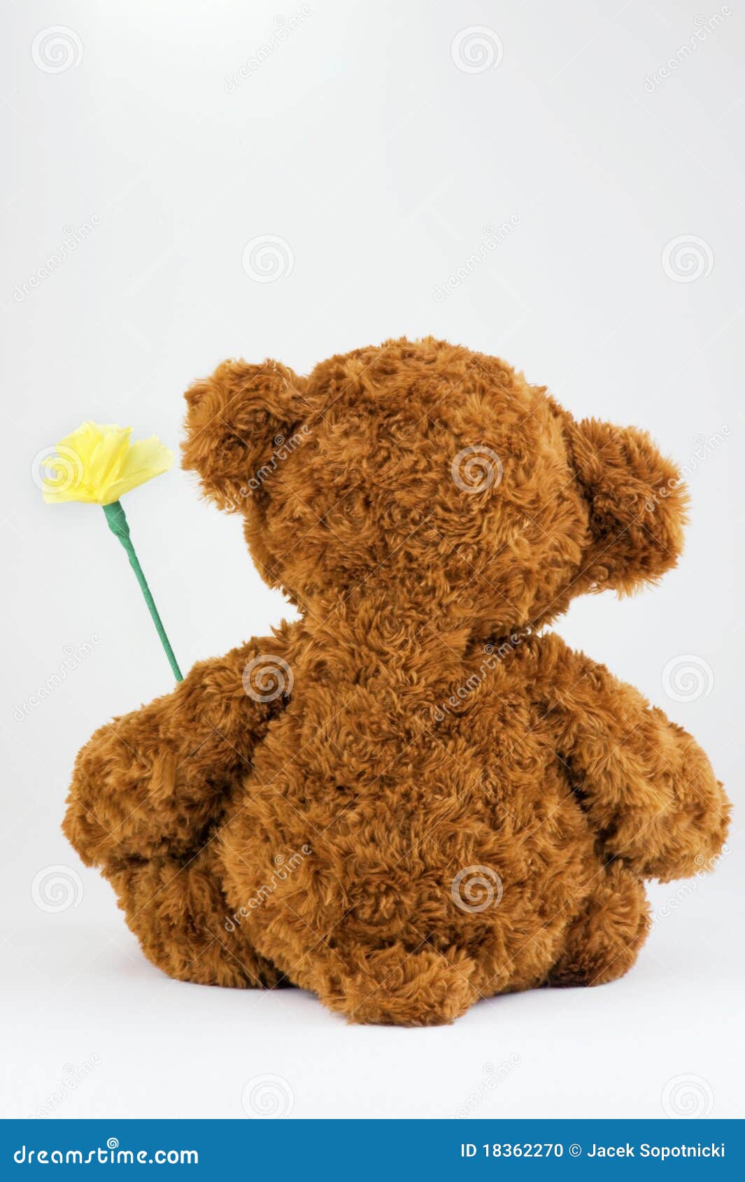 Teddybeer stock foto. Image of dier, welp, teddy, puppy - 18362270